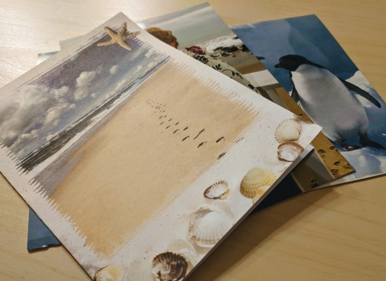 Flatbed Scanner vs. Smartphone Camera: Photographs - Digital Tidying